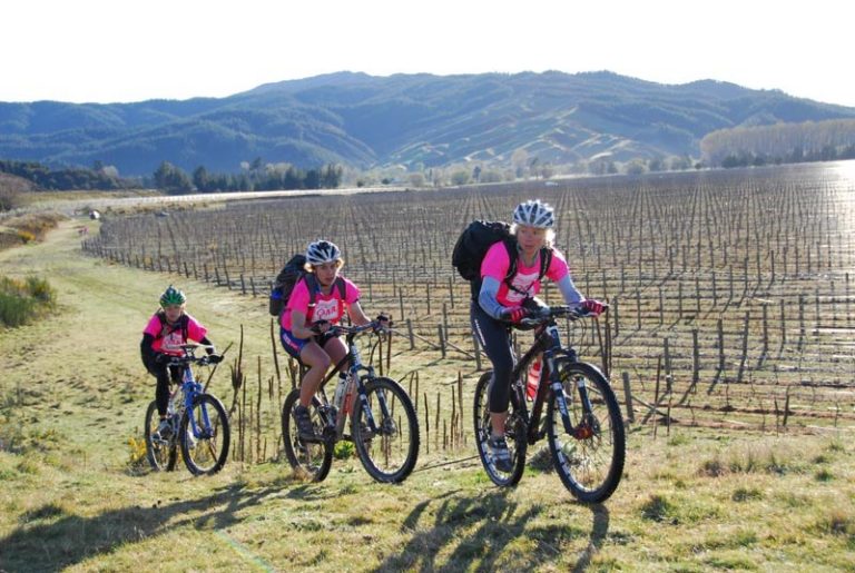 Spring Challenge Training Plan – Coach Ray – Qwik Kiwi Coaching