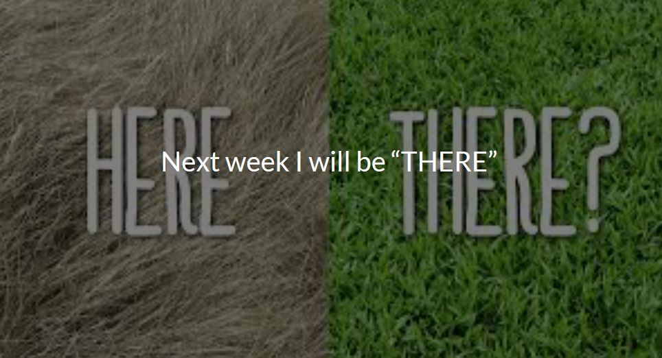 Mike Catton here there – Coach Ray – Qwik Kiwi Coaching