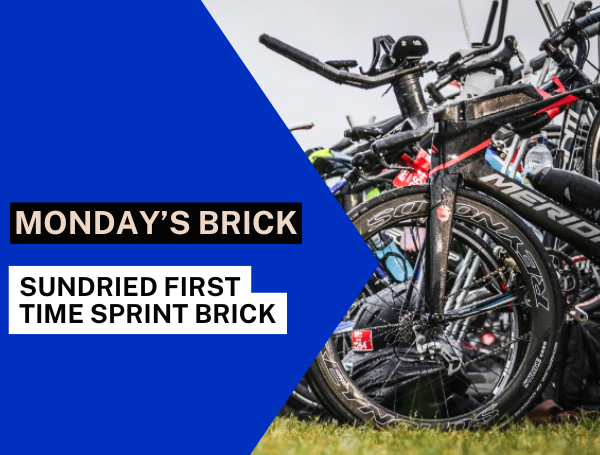 Monday's Brick: Sundried First Time Sprint Brick